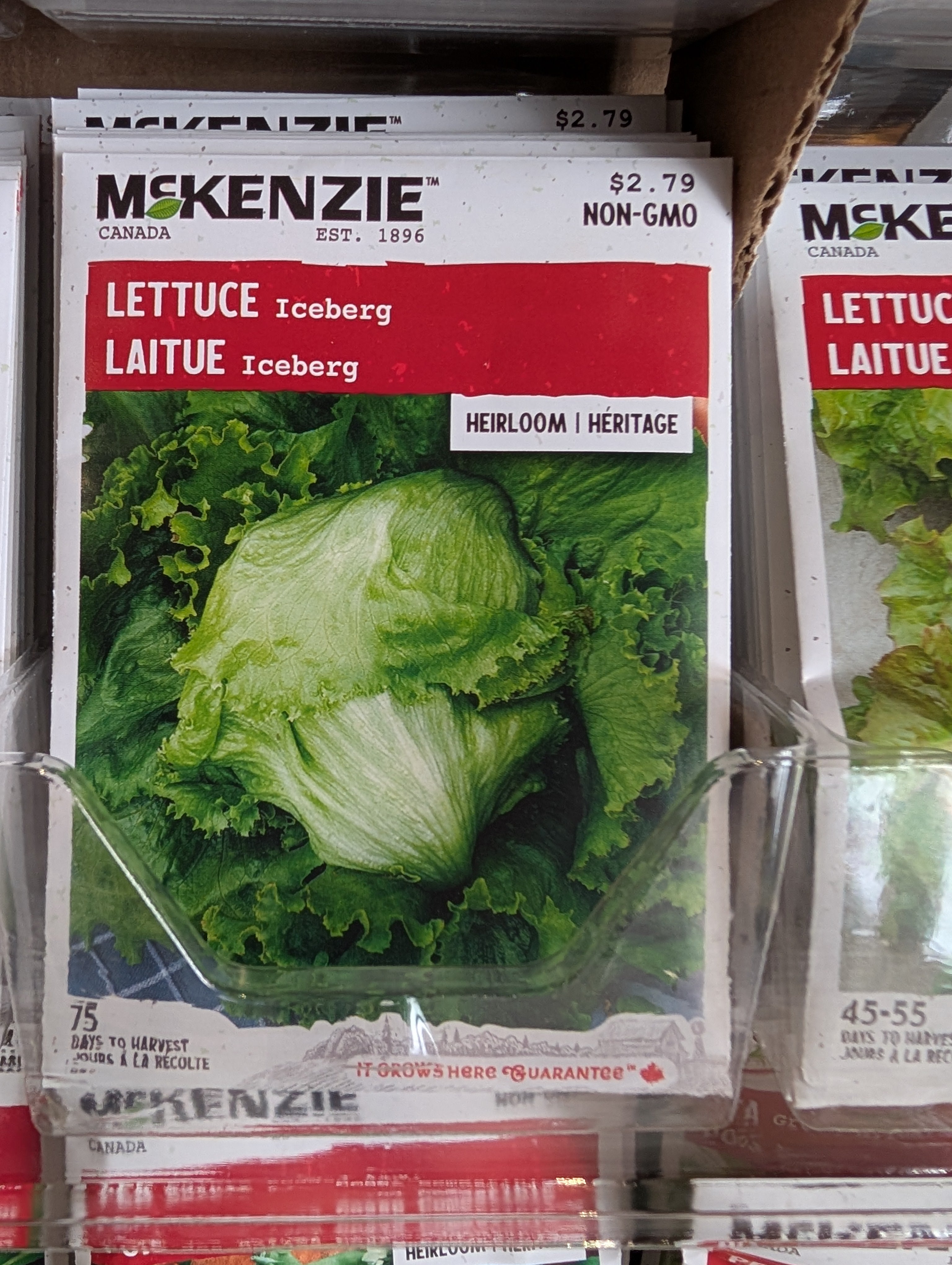 Iceberg Lettuce – Riverdene Garden Centre